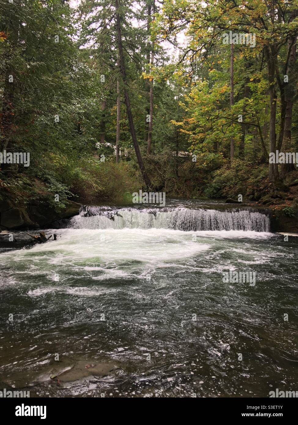 Whatcom falls park hi-res stock photography and images - Alamy