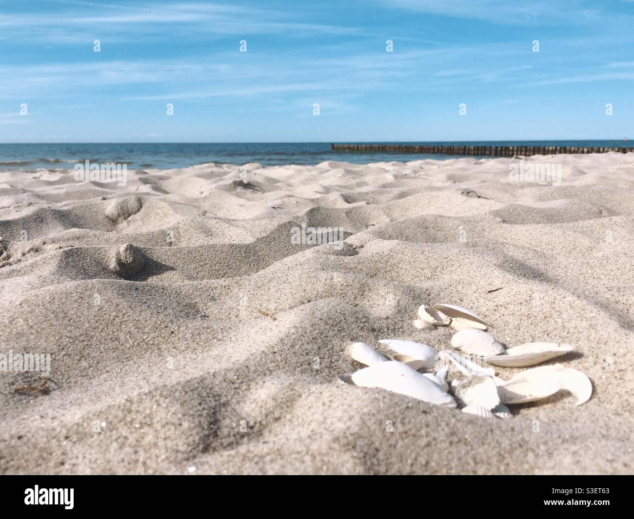 Shells on beach baltic smartphone stock photos and images - Alamy