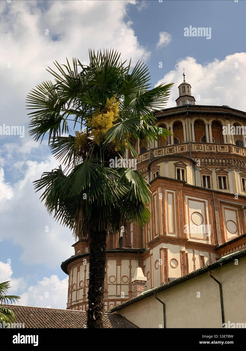 Palm tree in Milan, old town Stock Photo - Alamy