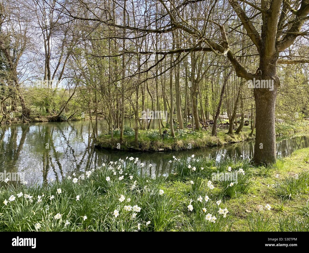 Captured stillness hi-res stock photography and images - Alamy