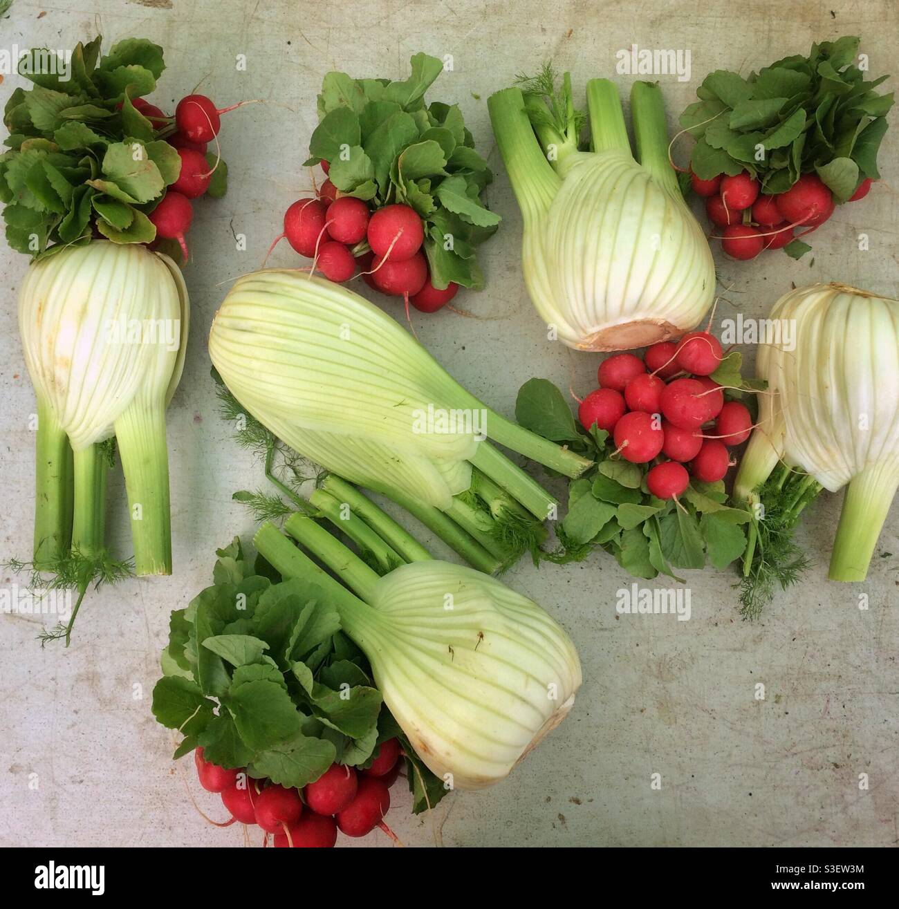 Vegetables radish hi-res stock photography and images - Alamy