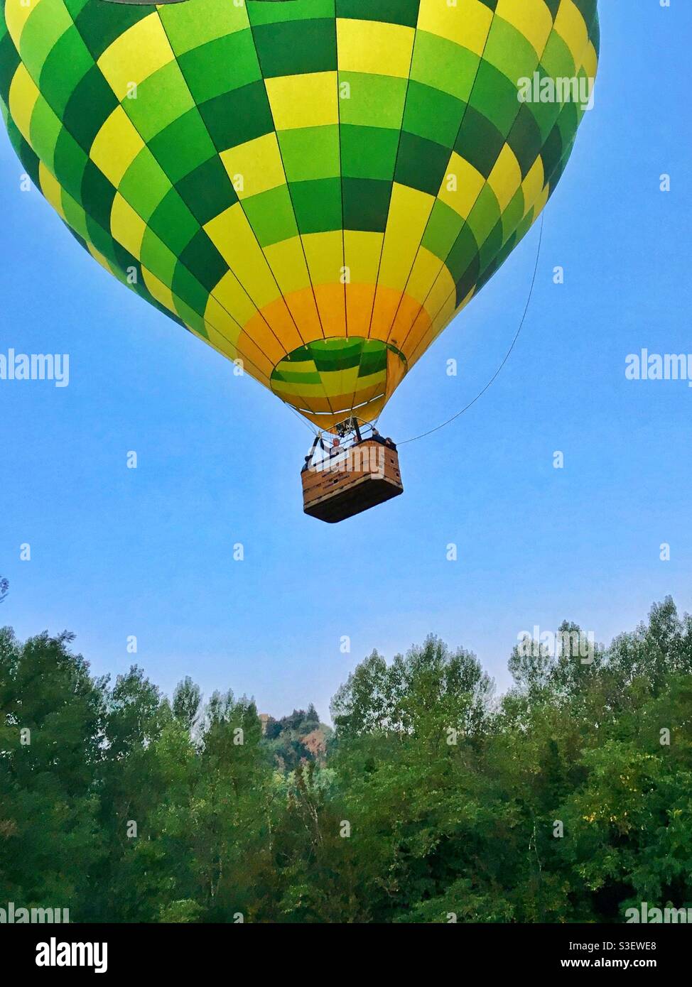 Green Checkers High Resolution Stock Photography and Images - Alamy