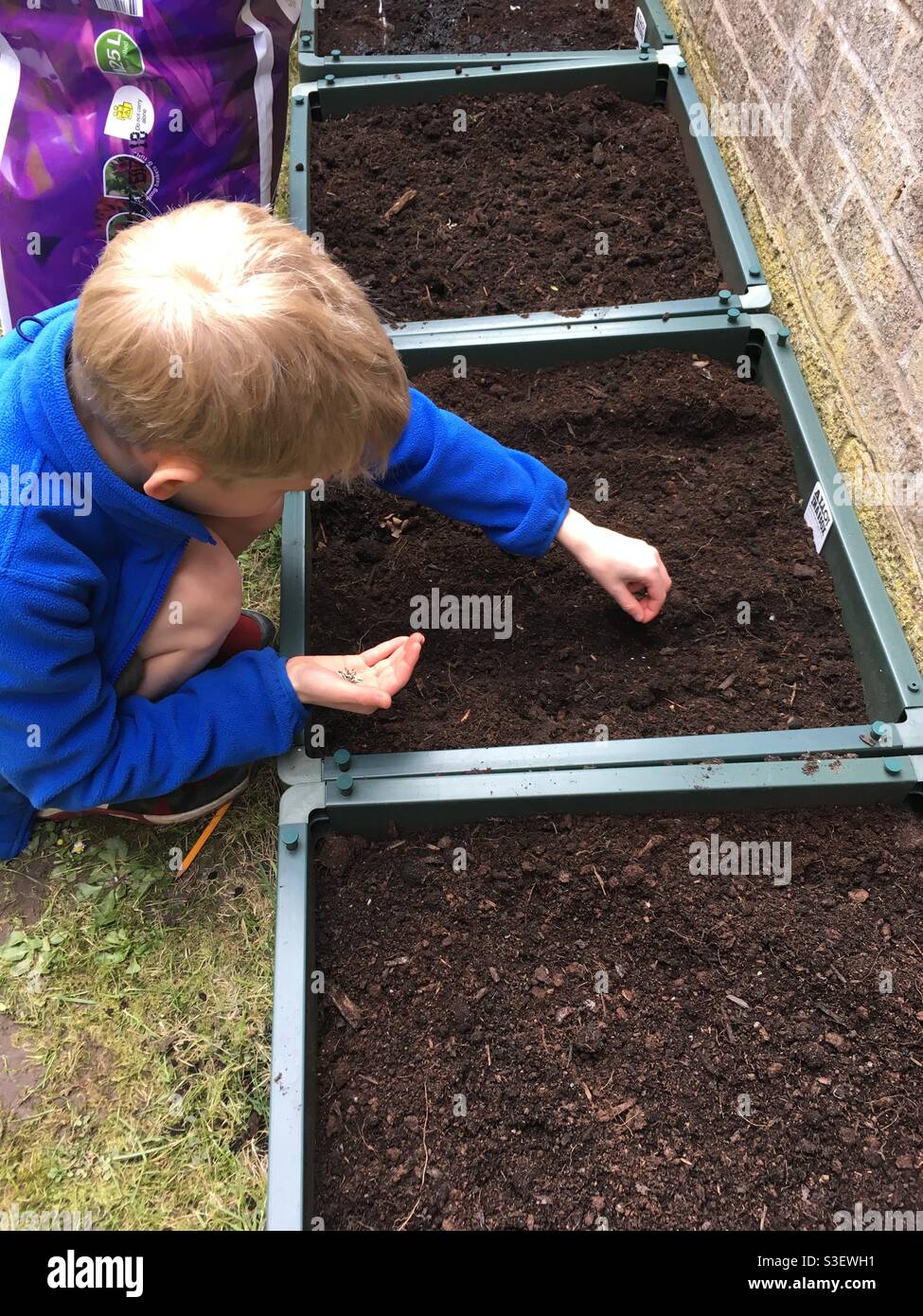 Planting for nature hi-res stock photography and images - Alamy