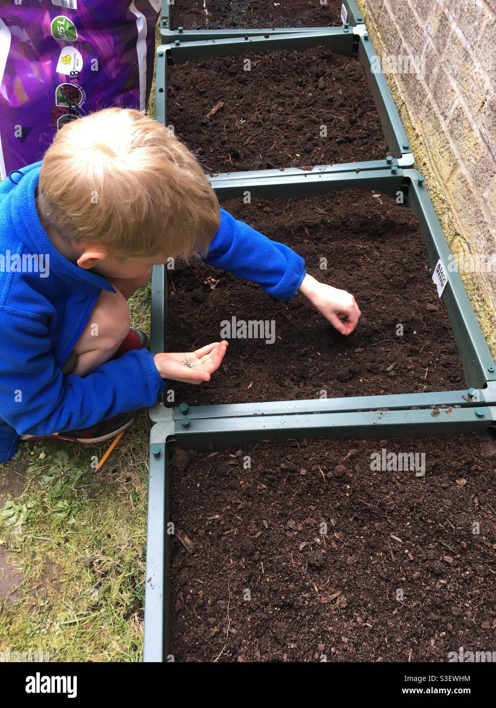Planting seeds hi-res stock photography and images - Alamy