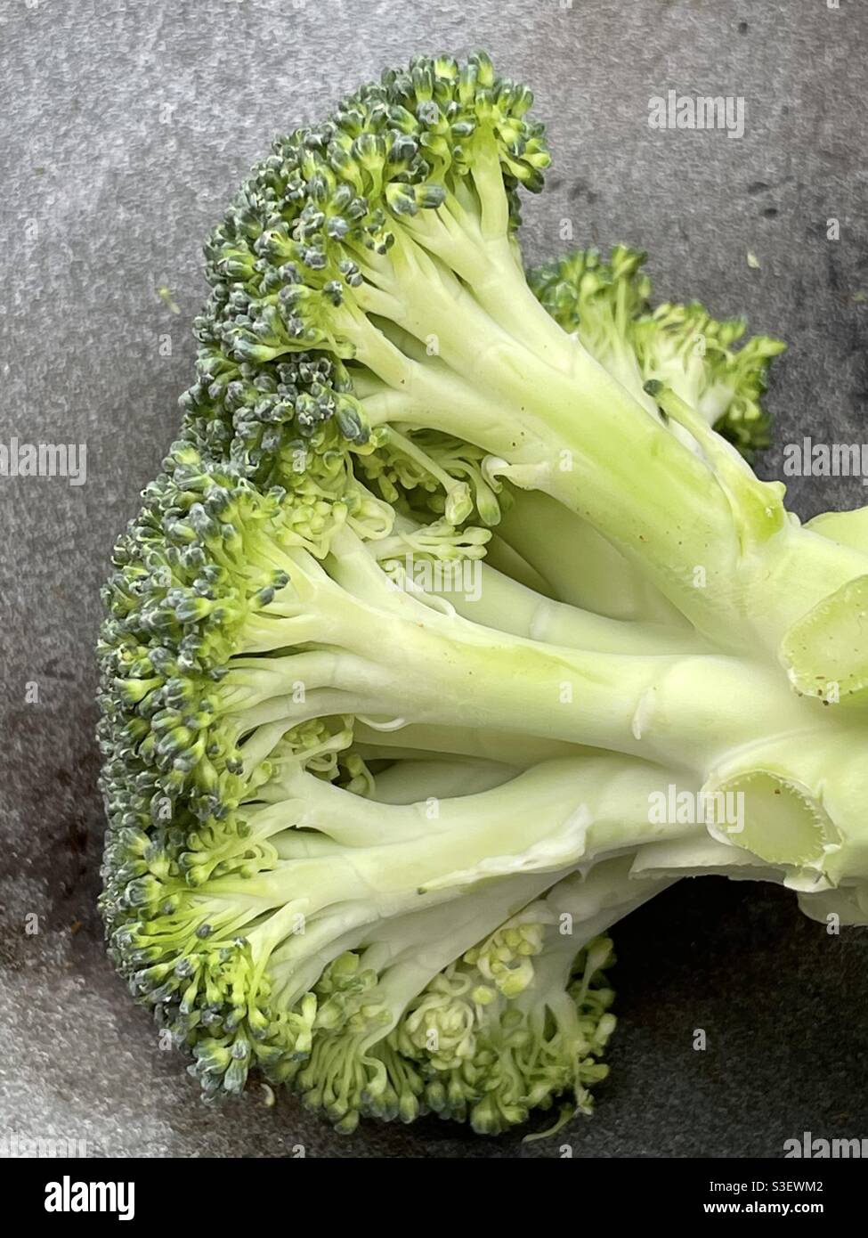 Broccoli Florets High Resolution Stock Photography and Images - Alamy