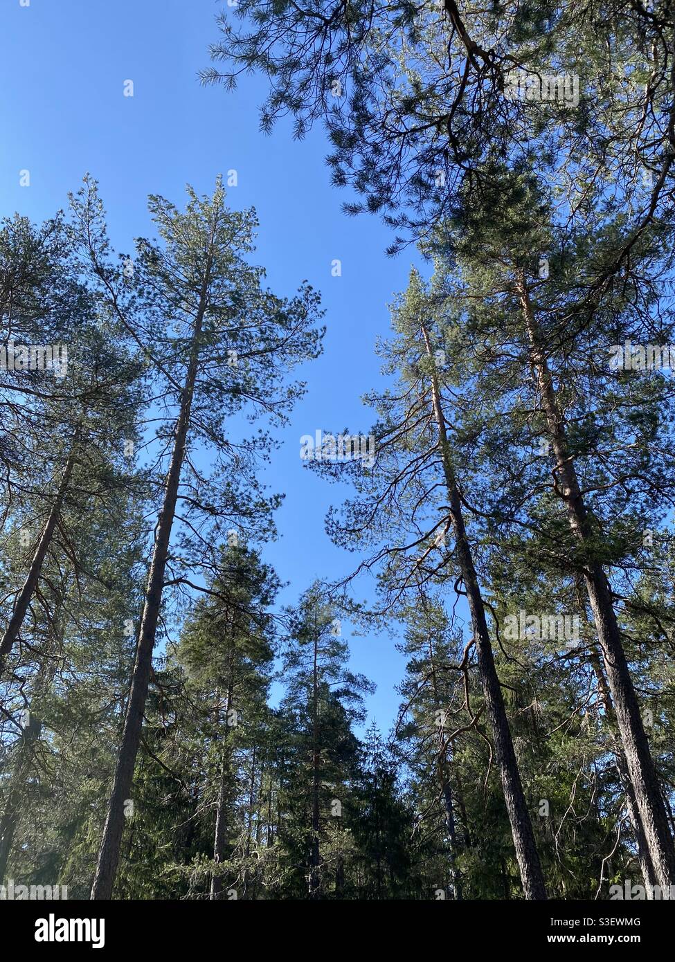 Nature walk spring hi-res stock photography and images - Alamy