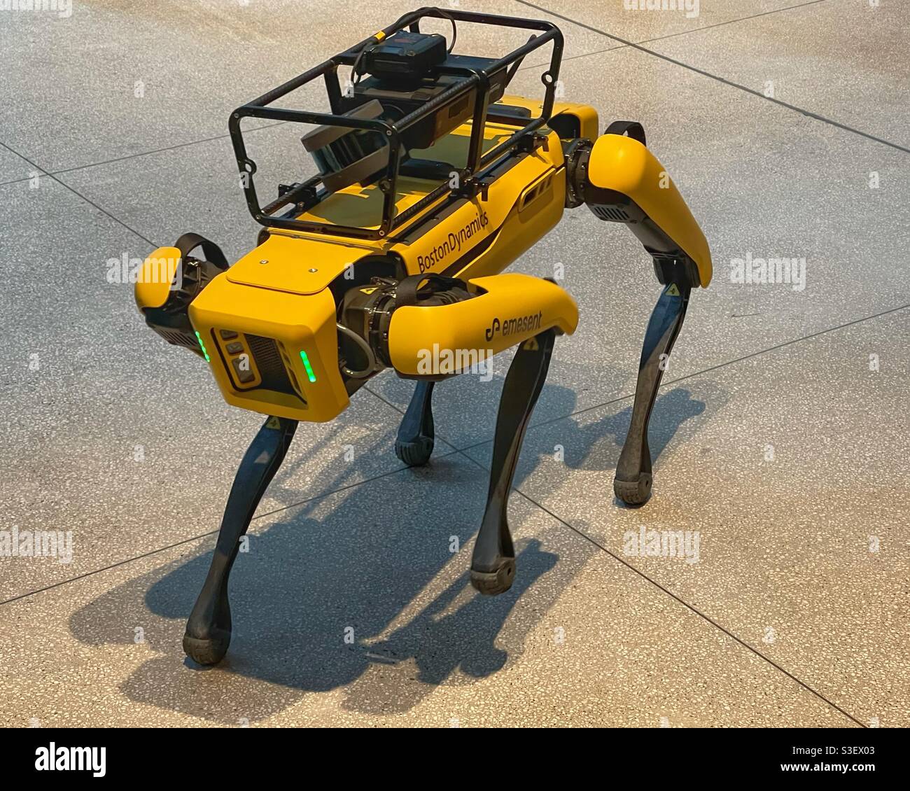 Spot the robot, manufactured by Boston Dynamics used for automated ...