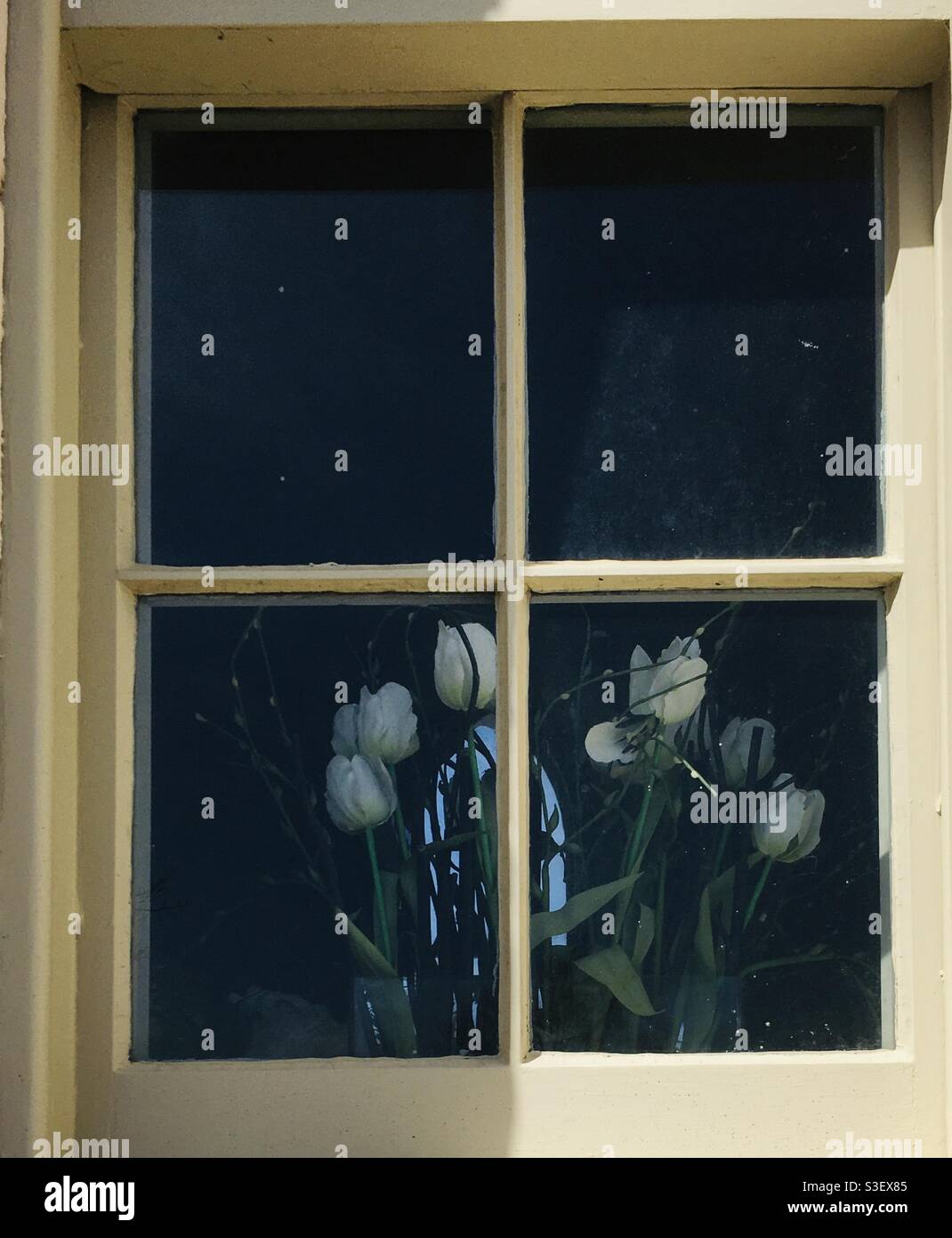 White flowers in 4 pane window Stock Photo - Alamy