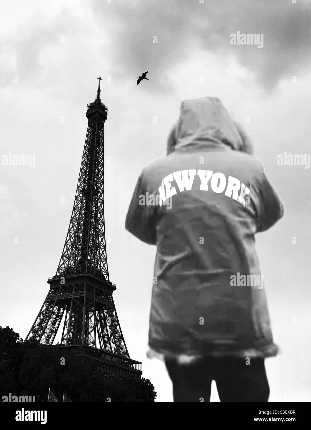 New yorker in paris hi-res stock photography and images - Alamy