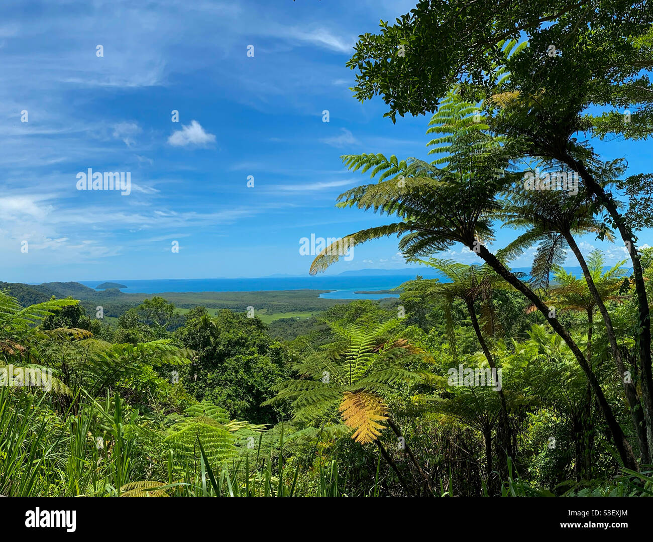Rainforest meets sea hi-res stock photography and images - Alamy