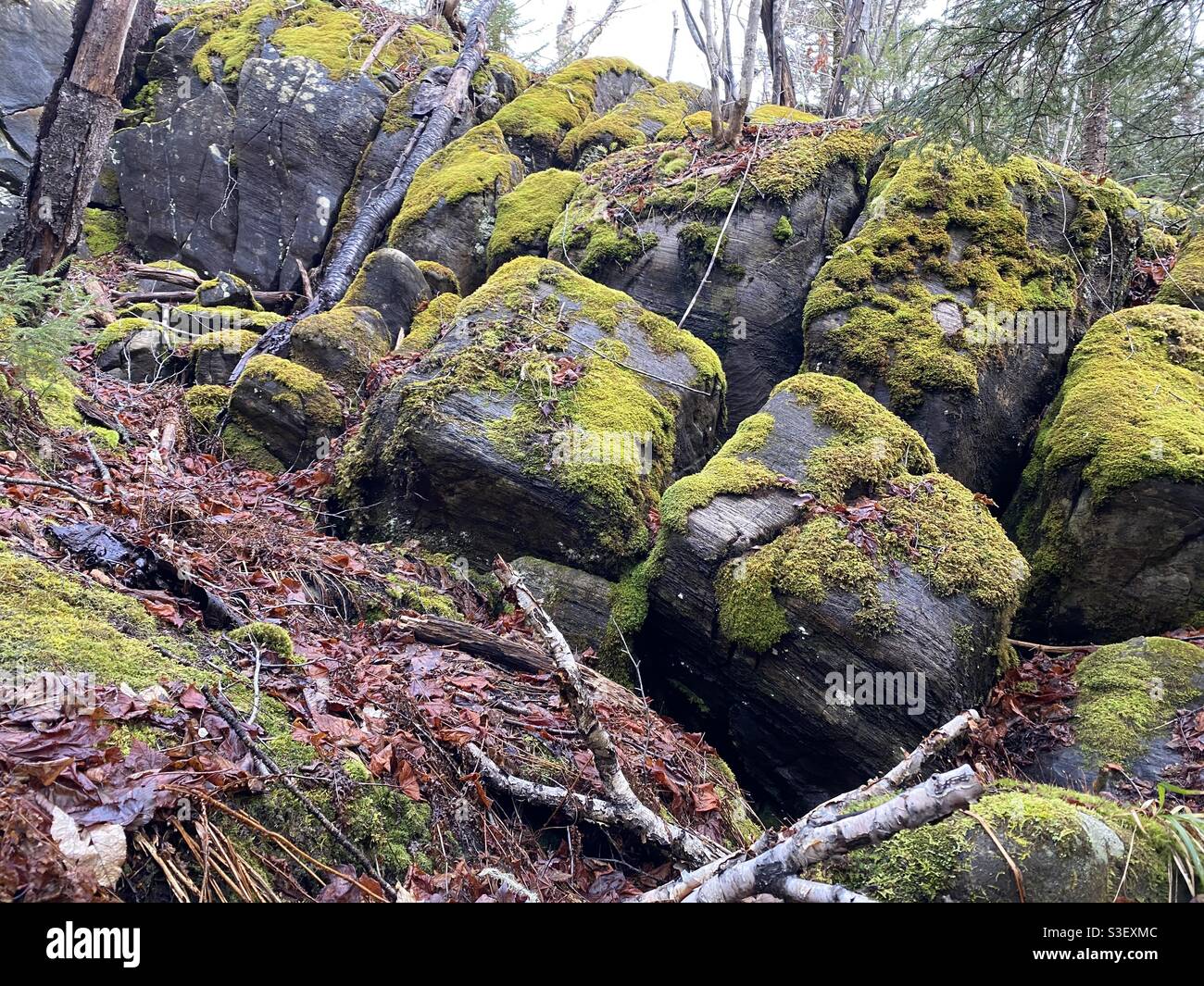 Peaceful giants hi-res stock photography and images - Alamy