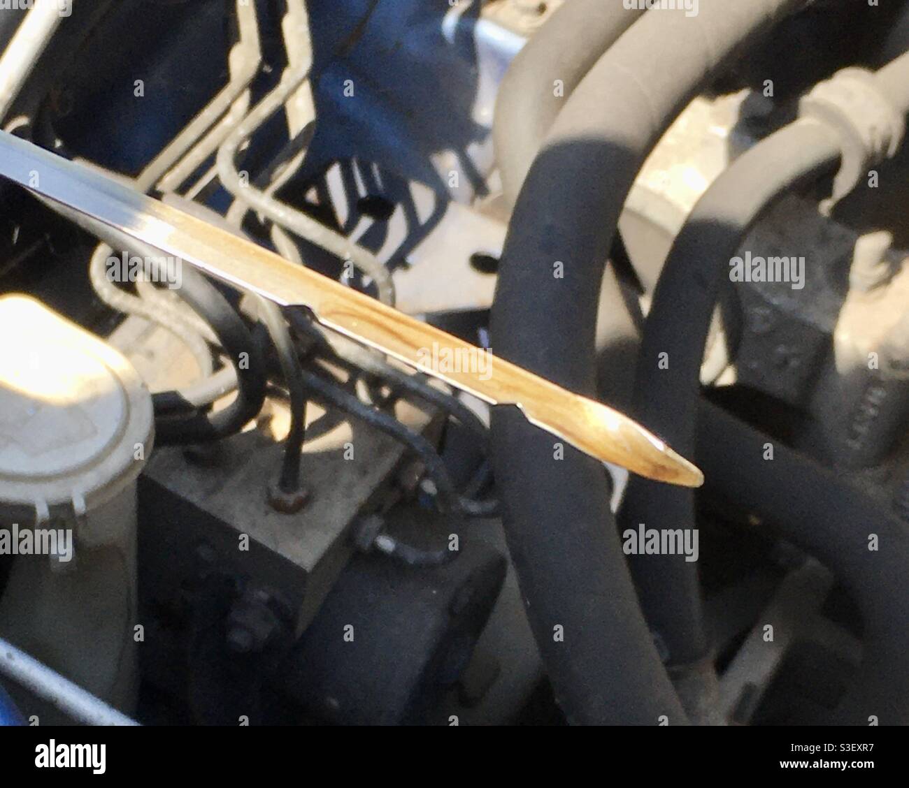 Oil on engine dipstick Stock Photo - Alamy