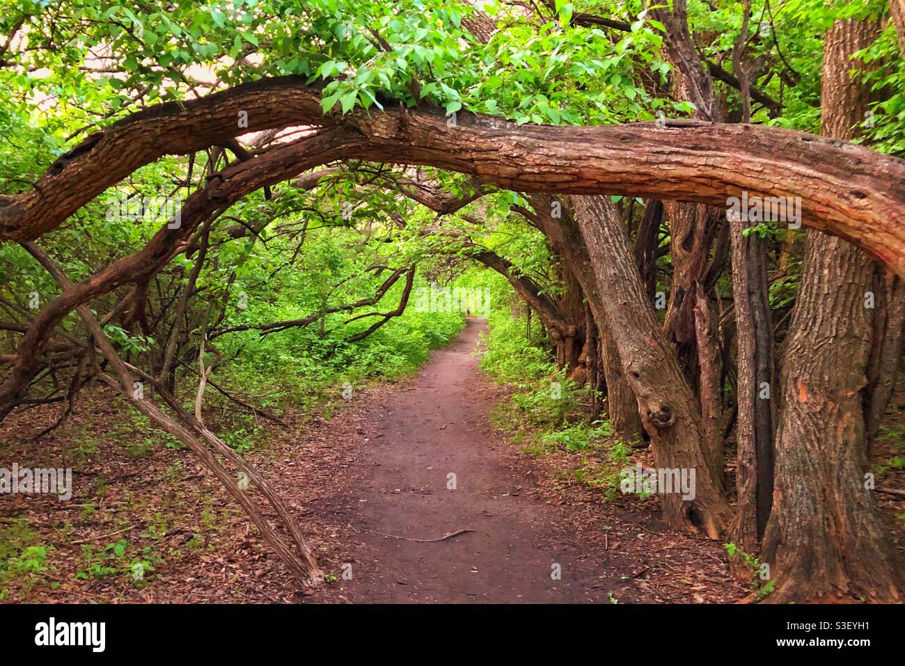 Pathway nature trail hi-res stock photography and images - Alamy