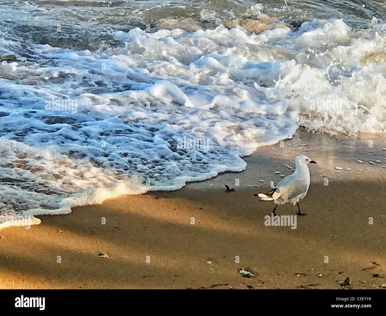 Margate beach australia hi-res stock photography and images - Alamy