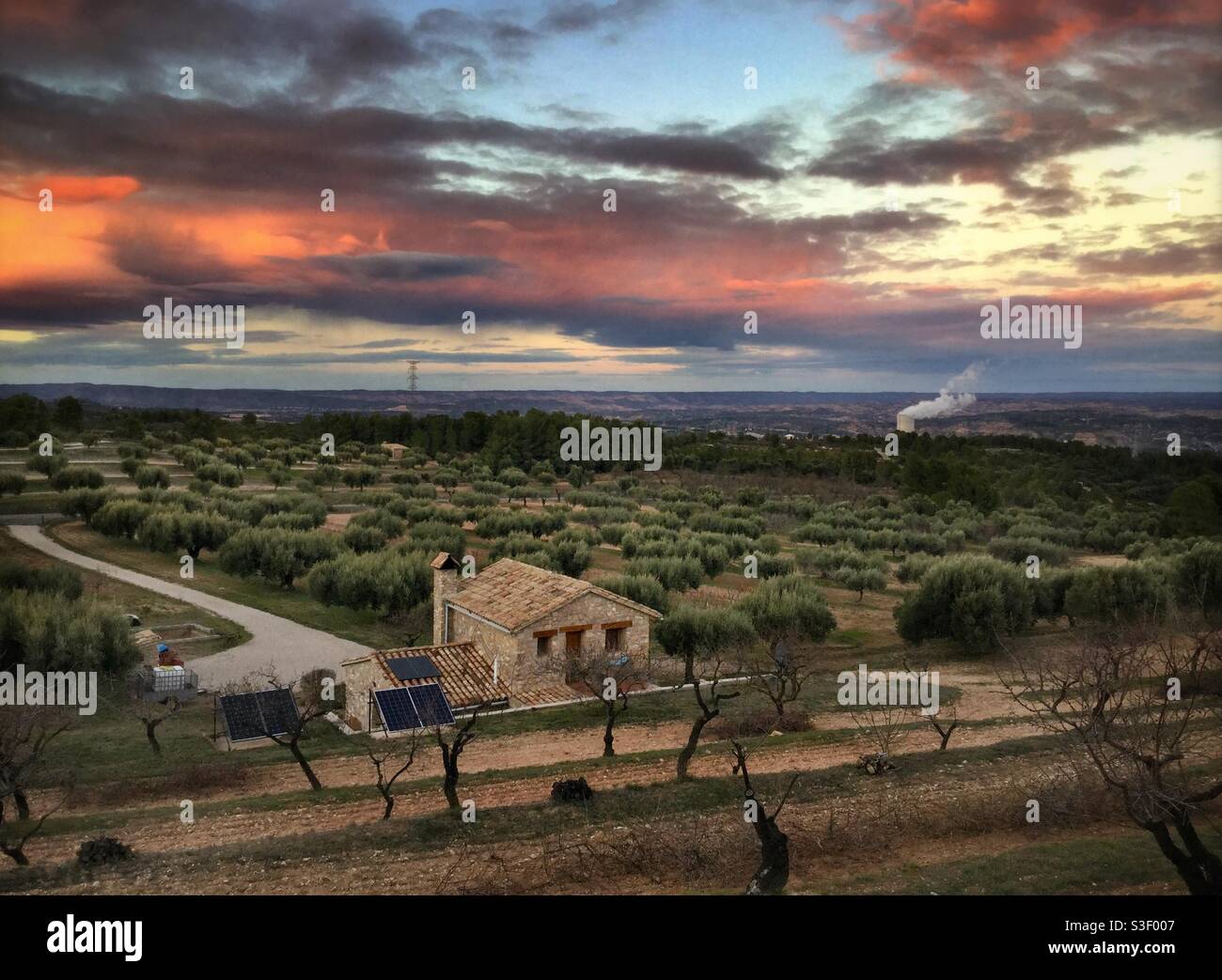 Olive farming hi-res stock photography and images - Alamy