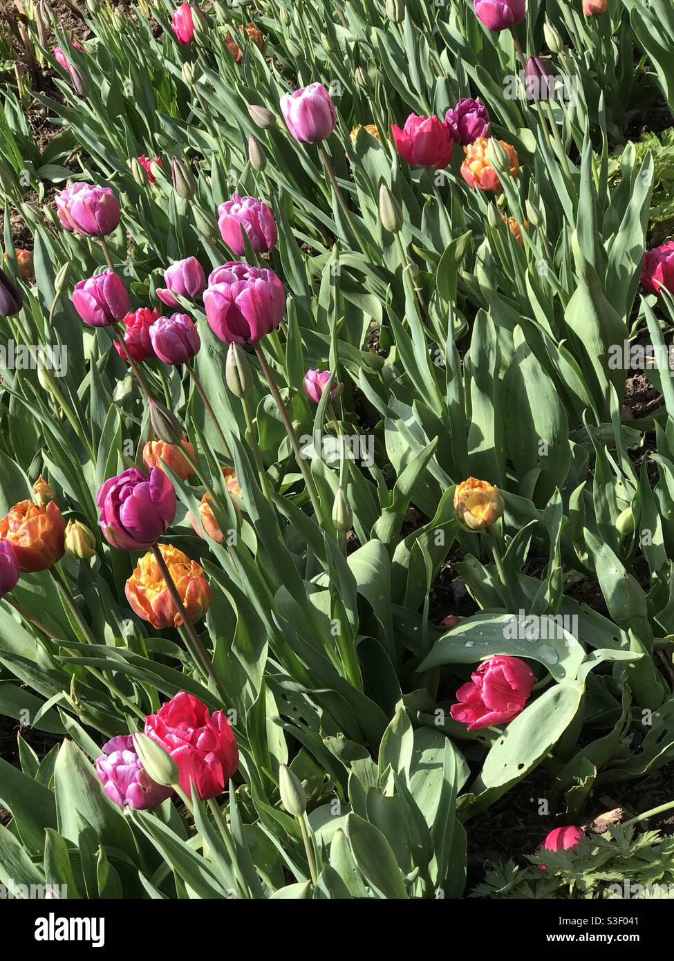 Variety of colours hi-res stock photography and images - Alamy