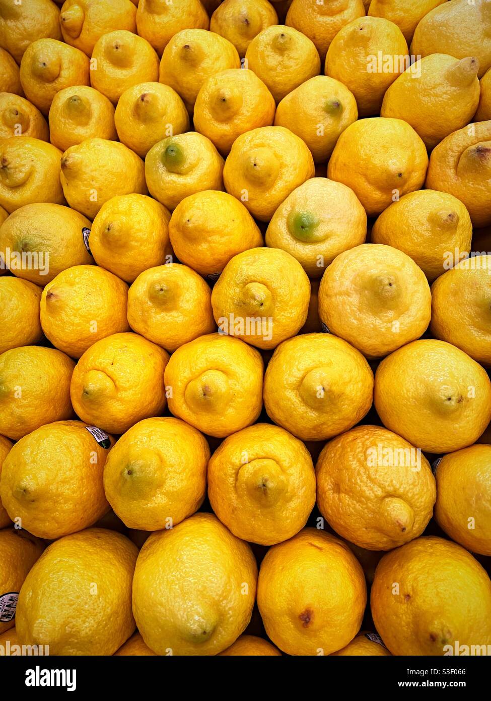 Close up of a display of lemons in the produce section of the grocery ...