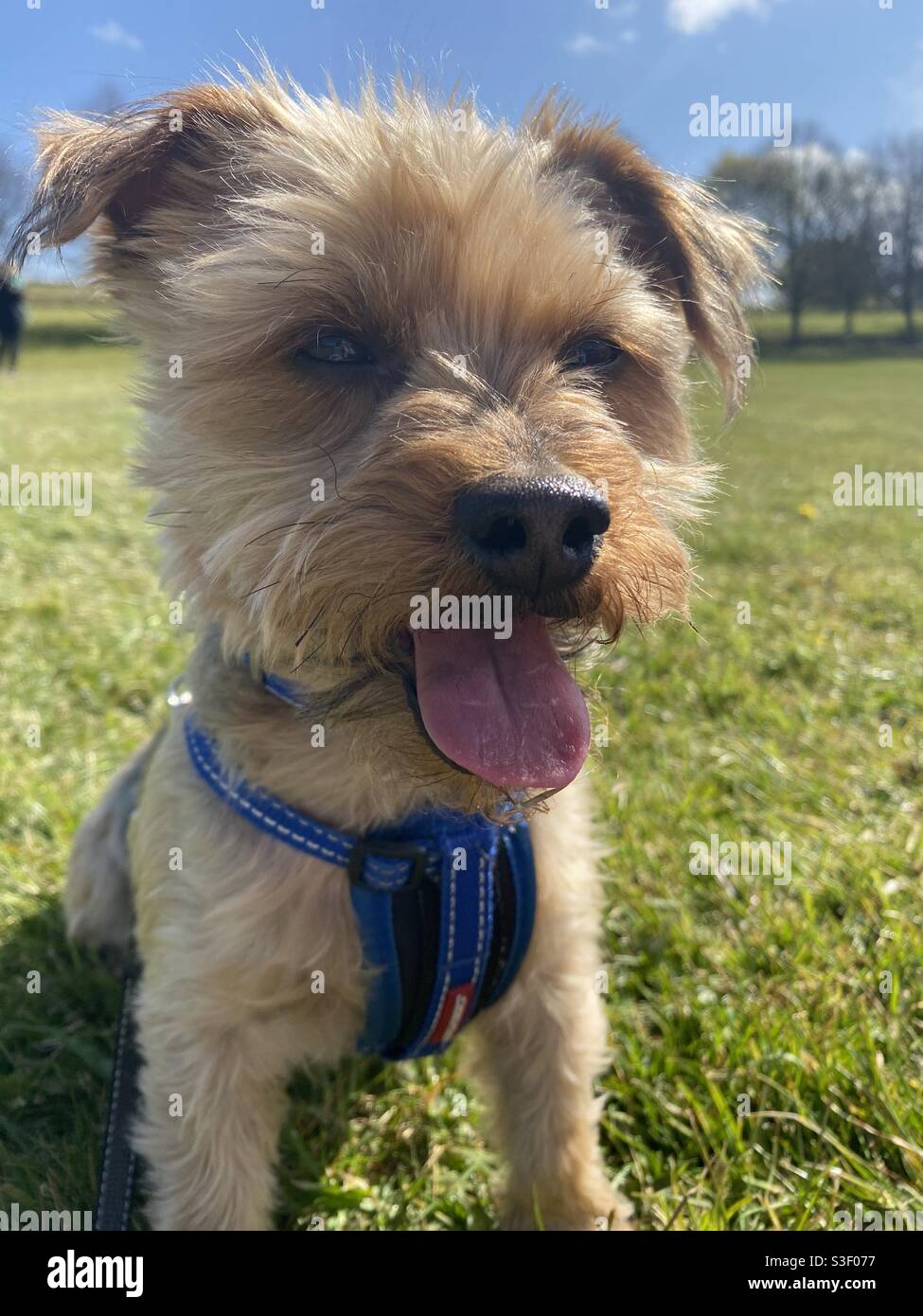 Sunshine fun hi-res stock photography and images - Alamy