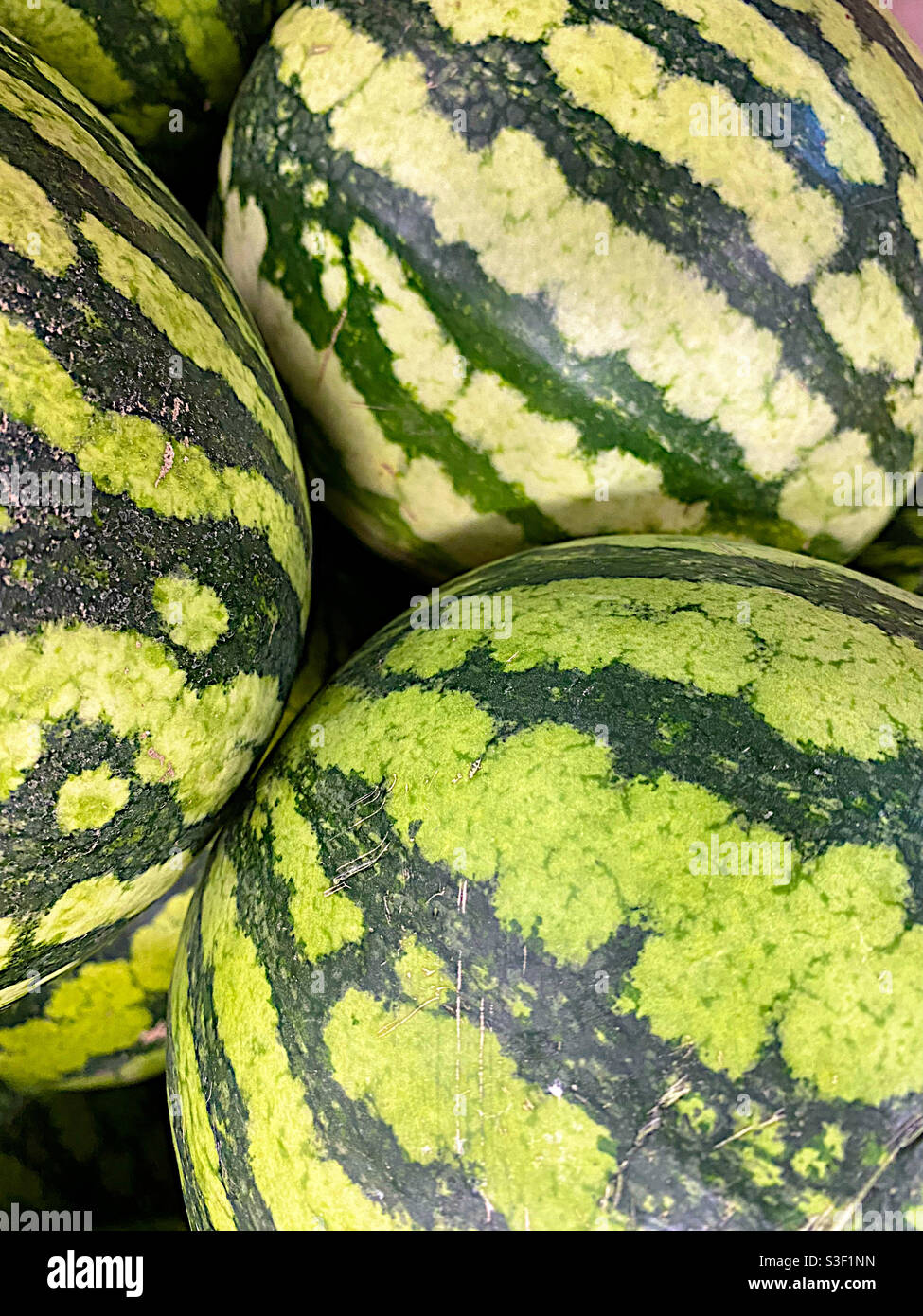 Watermelons fruit hi-res stock photography and images - Alamy