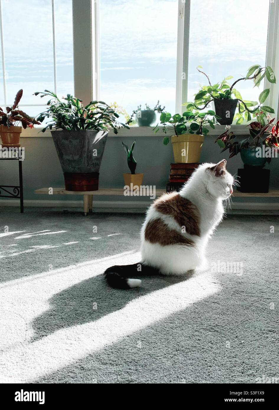 Shadow room hi-res stock photography and images - Alamy