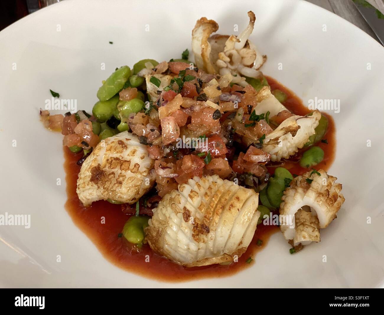 Grilled calamari dish plate with tomatoes and beans and sauce Stock ...