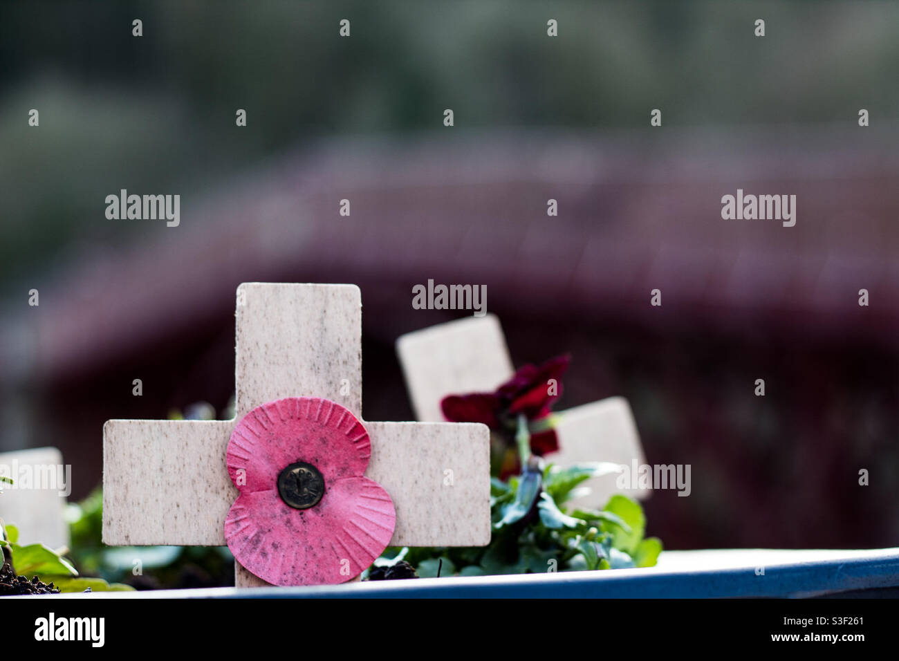 Poppy and cross hi-res stock photography and images - Alamy