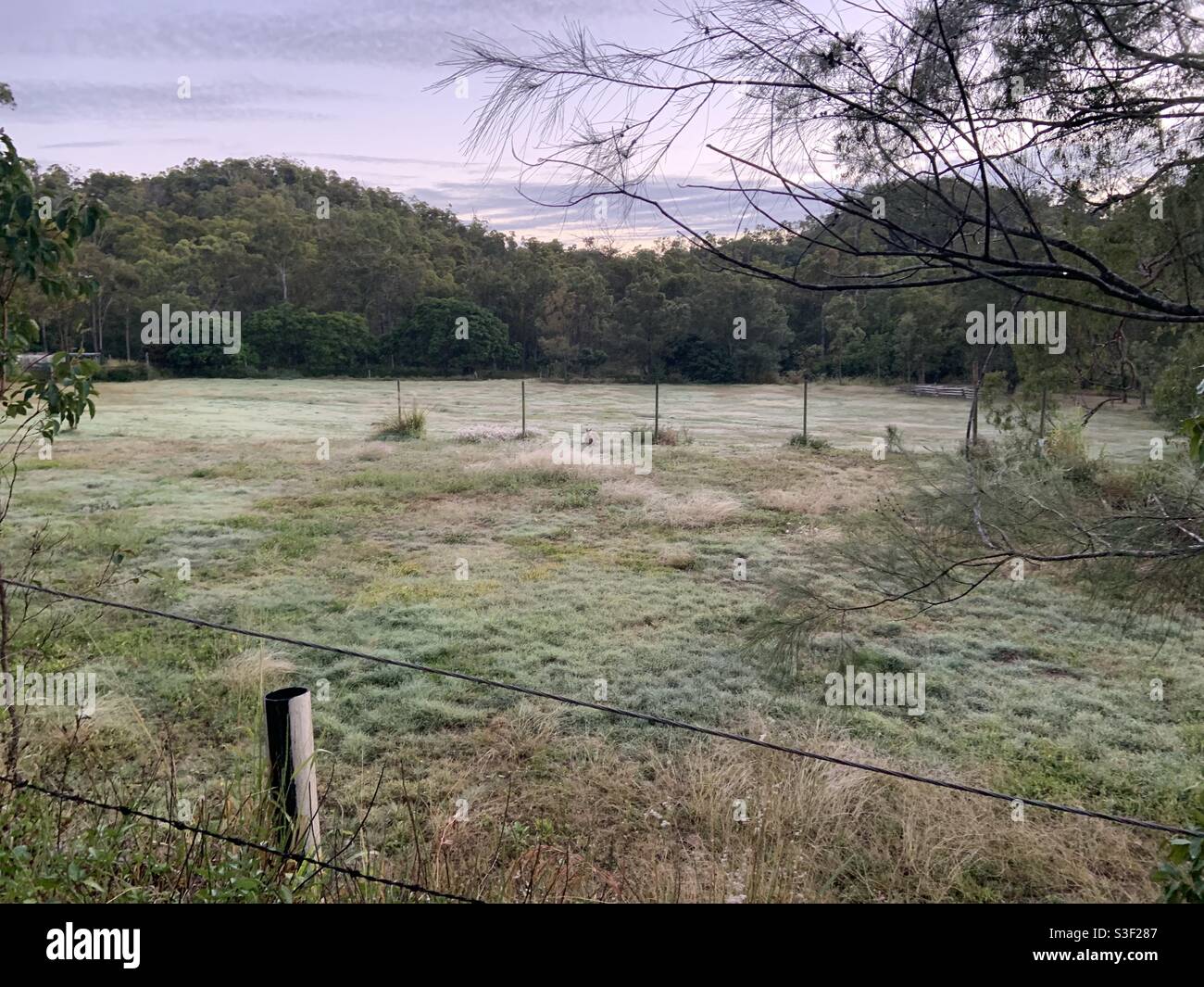 Morning on the farm hi-res stock photography and images - Alamy