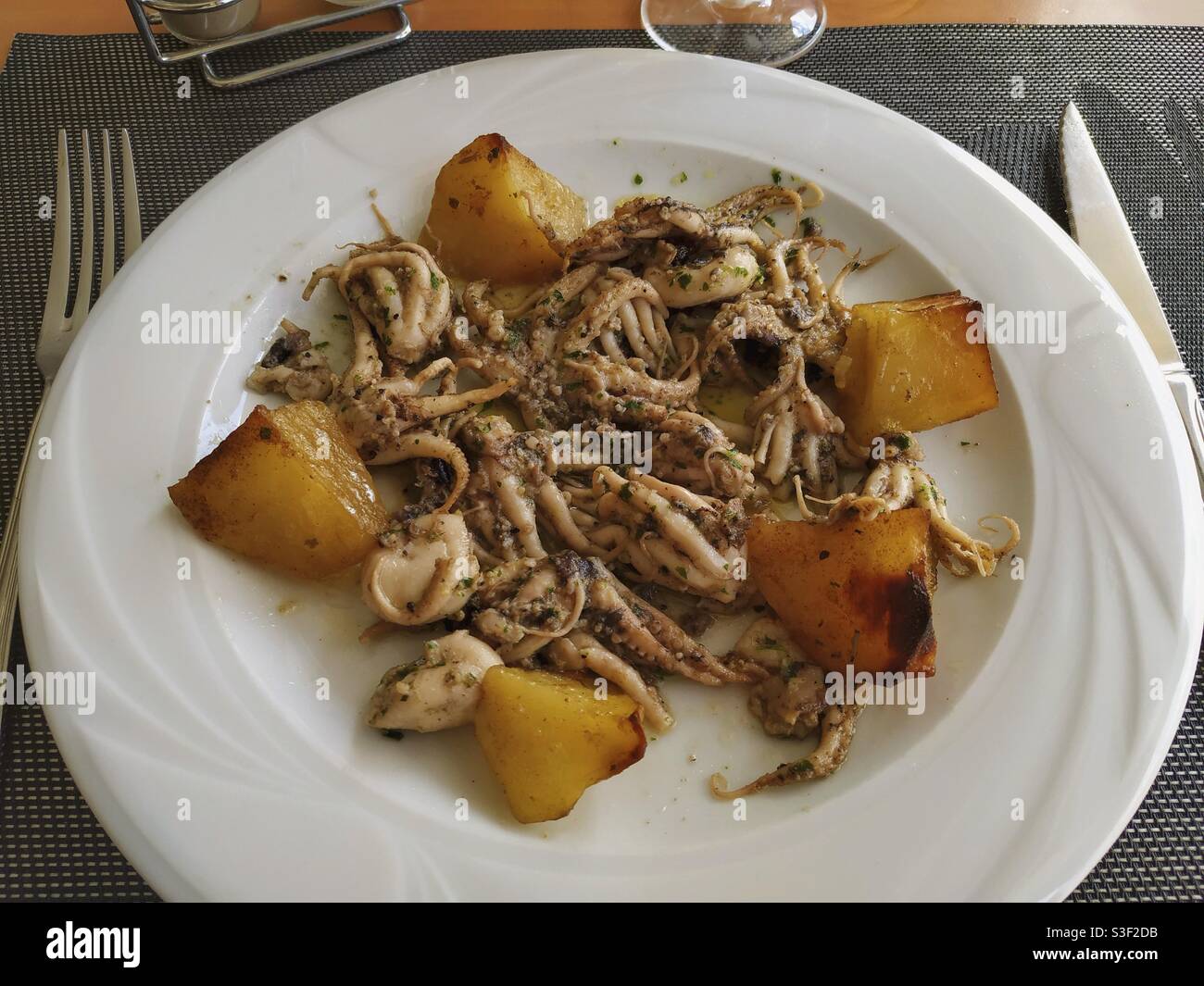 Octopuses ocean hi-res stock photography and images - Alamy