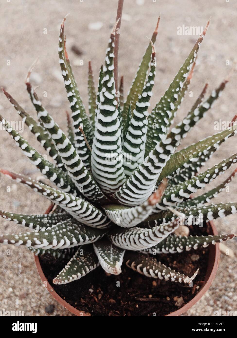 Striped shapes hi-res stock photography and images - Alamy