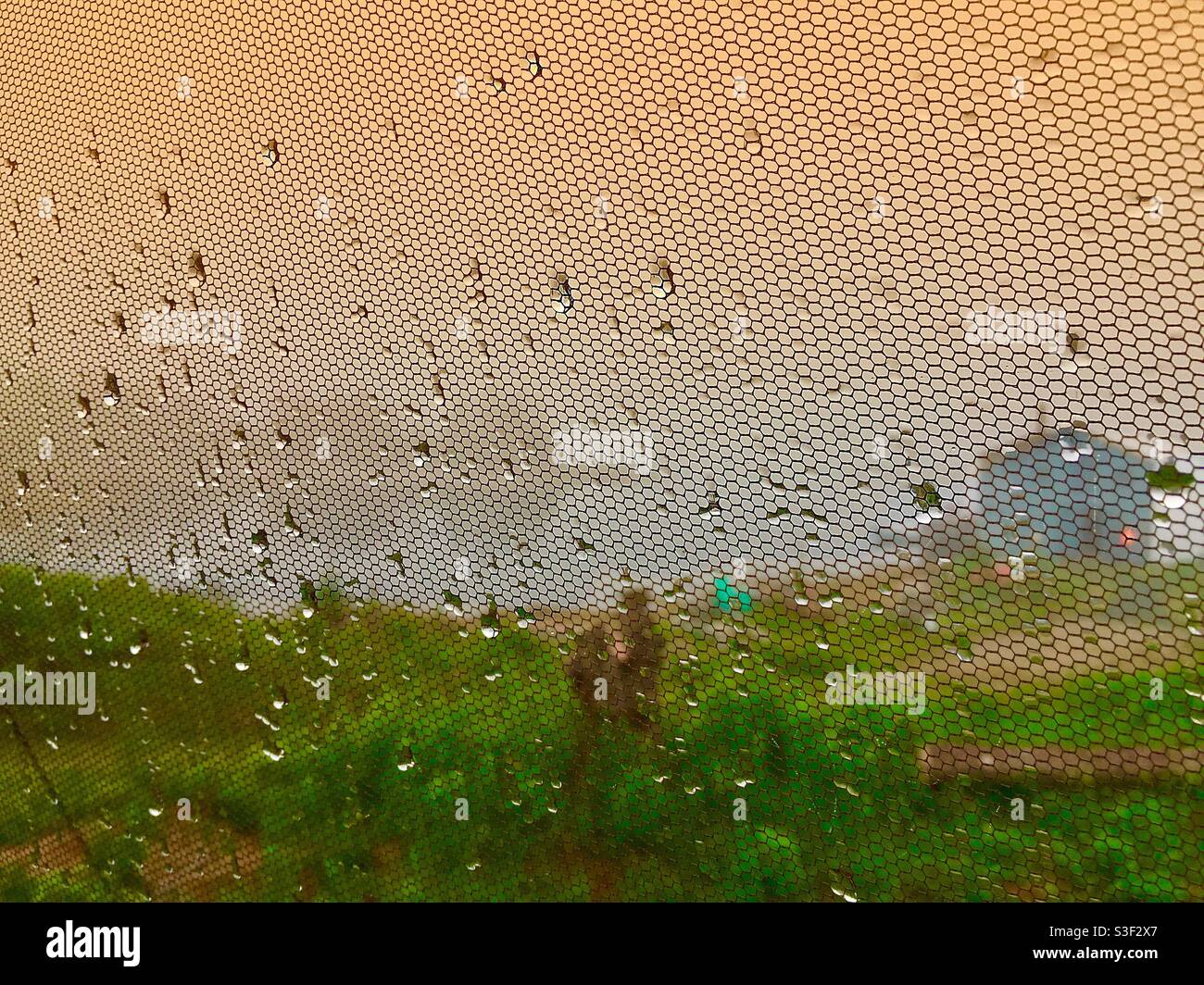 Heavy rain. Raindrops caught in the wire mesh overlooking the sea ...