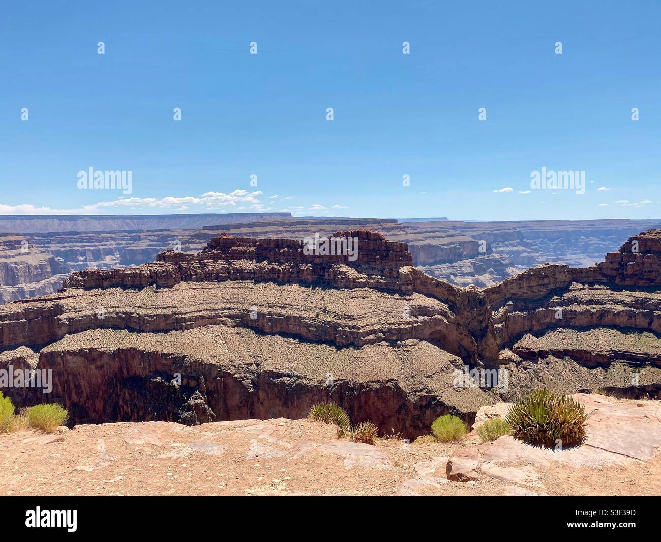 Arizona eagle hi-res stock photography and images - Alamy