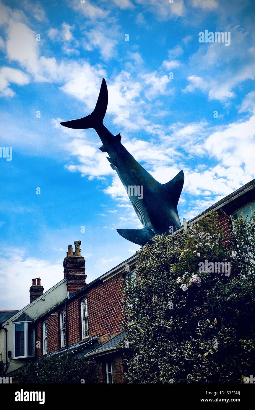 Shark on Roof of House Stock Photo - Alamy