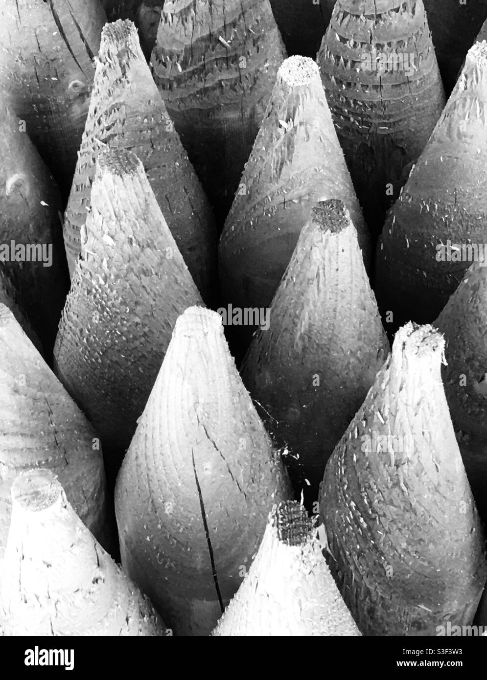 Pointed fence stakes pointing up black & white Stock Photo - Alamy