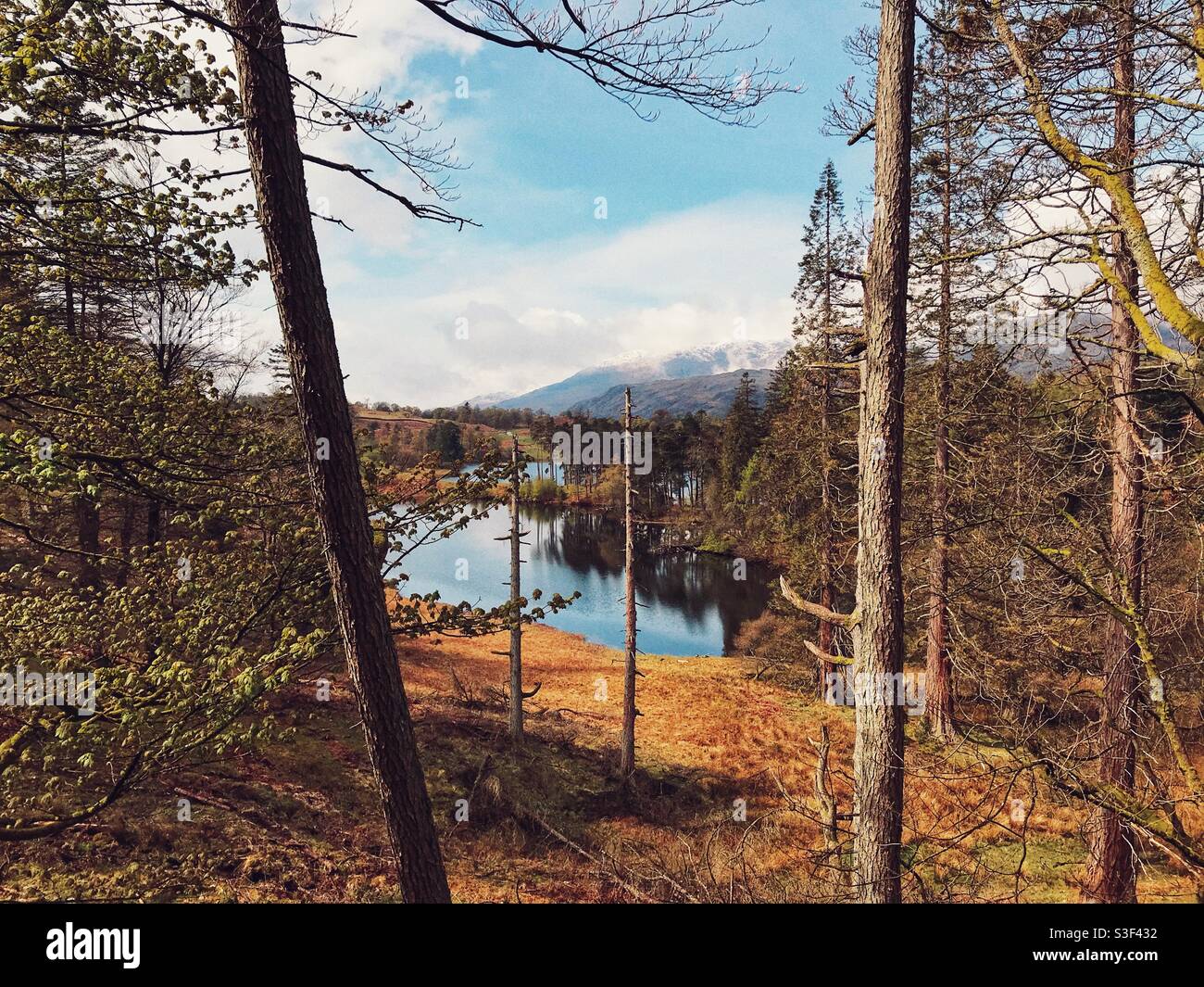 Tarn How Lake Stock Photo - Alamy
