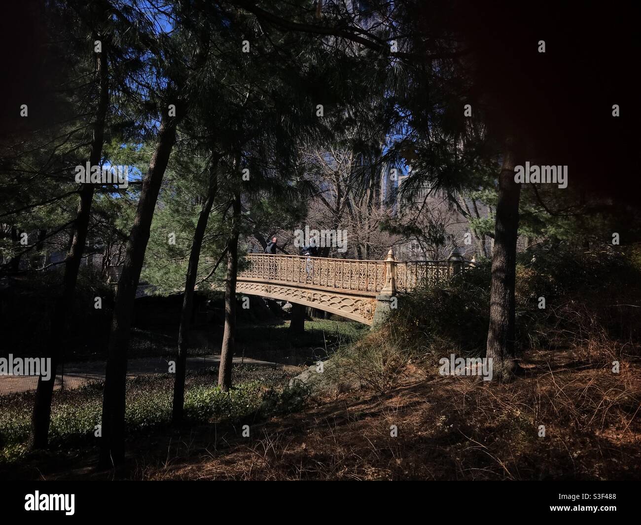 Elf movie hi-res stock photography and images - Alamy