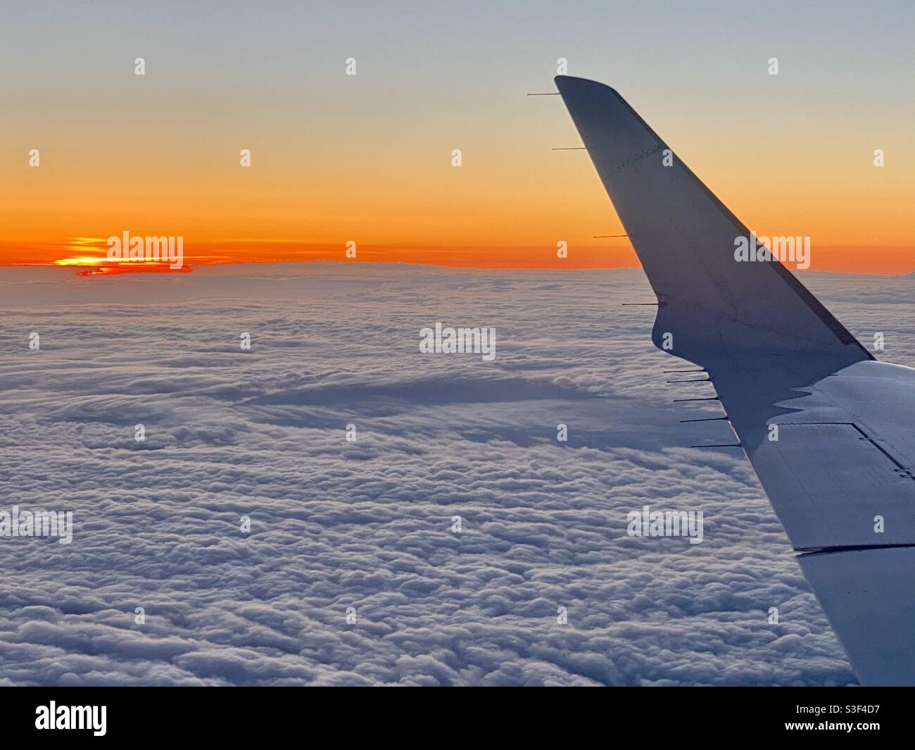 Aircraft wing in flight with beautiful sunset in the sky Stock Photo ...