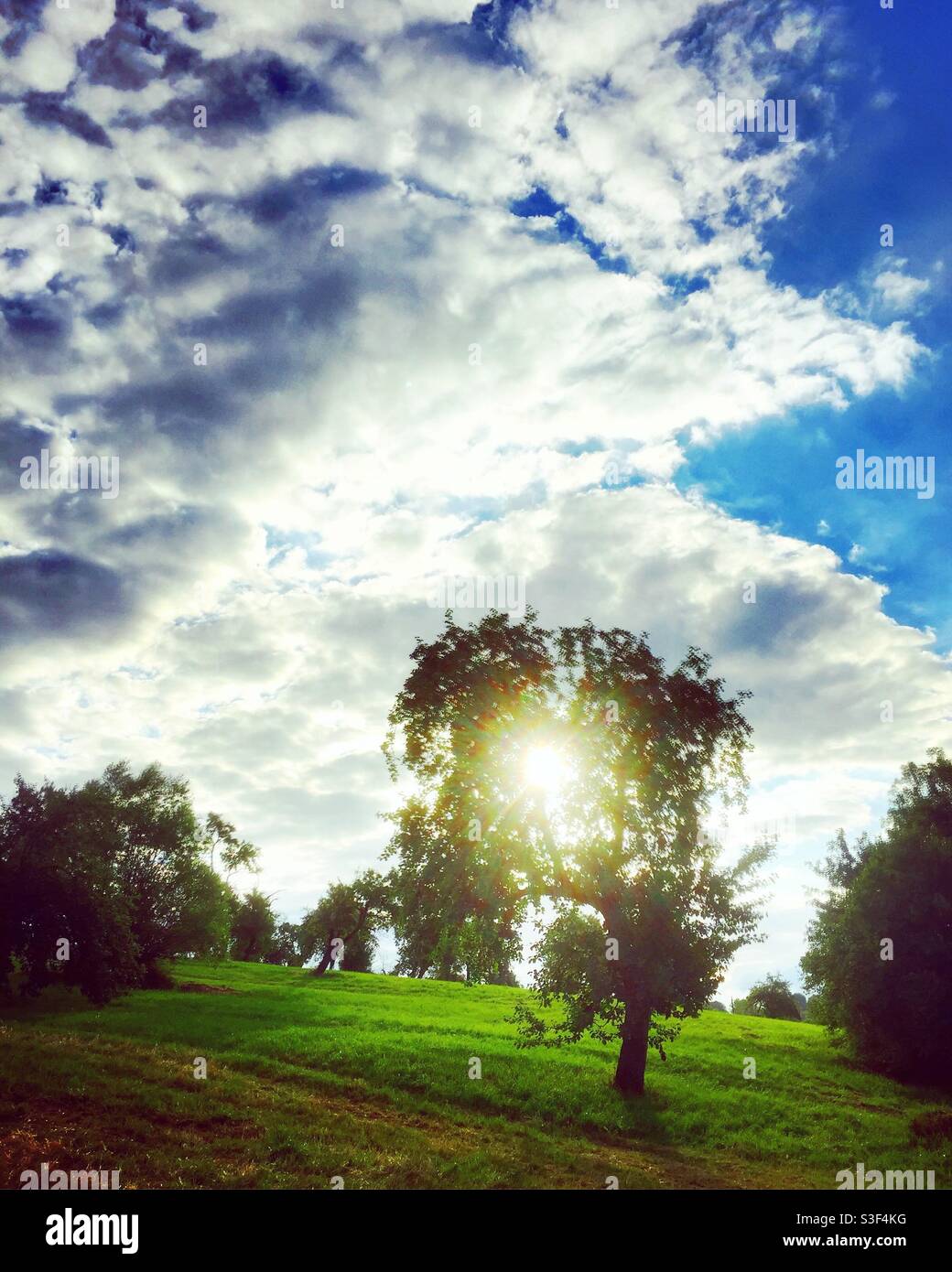 Beautiful sunrise in rural hi-res stock photography and images - Alamy