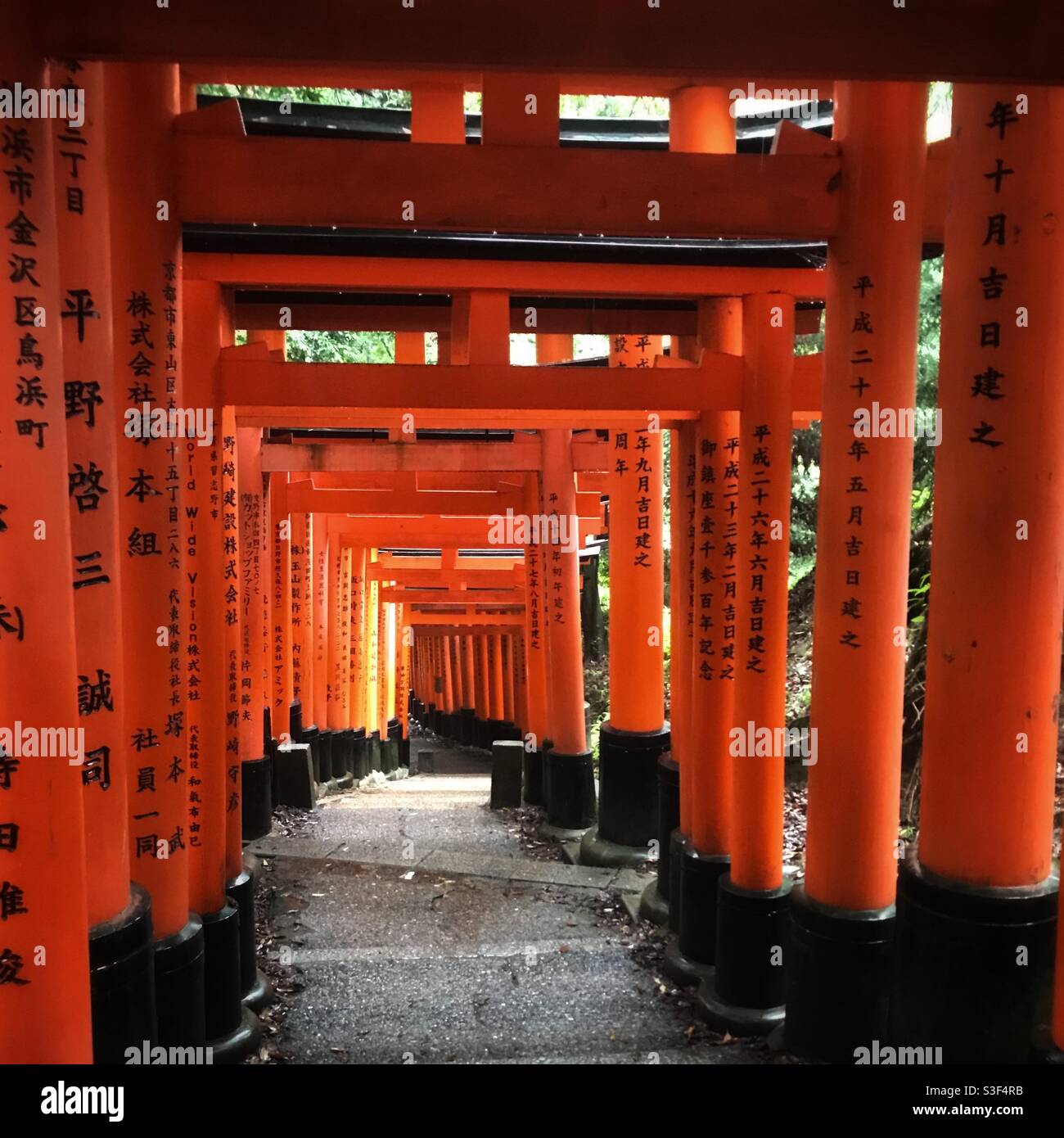 Path through many orange Torii gates at Fushimi Inari shrine, Kyoto ...