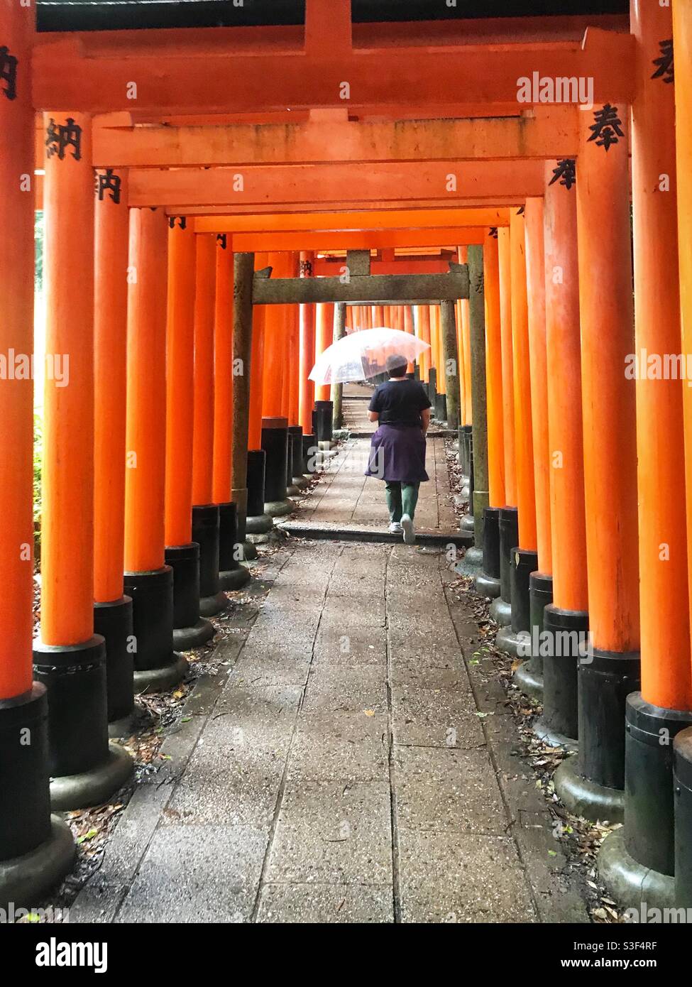 Woman with umbrella walking through orange torii gates, Fushimi Inari ...