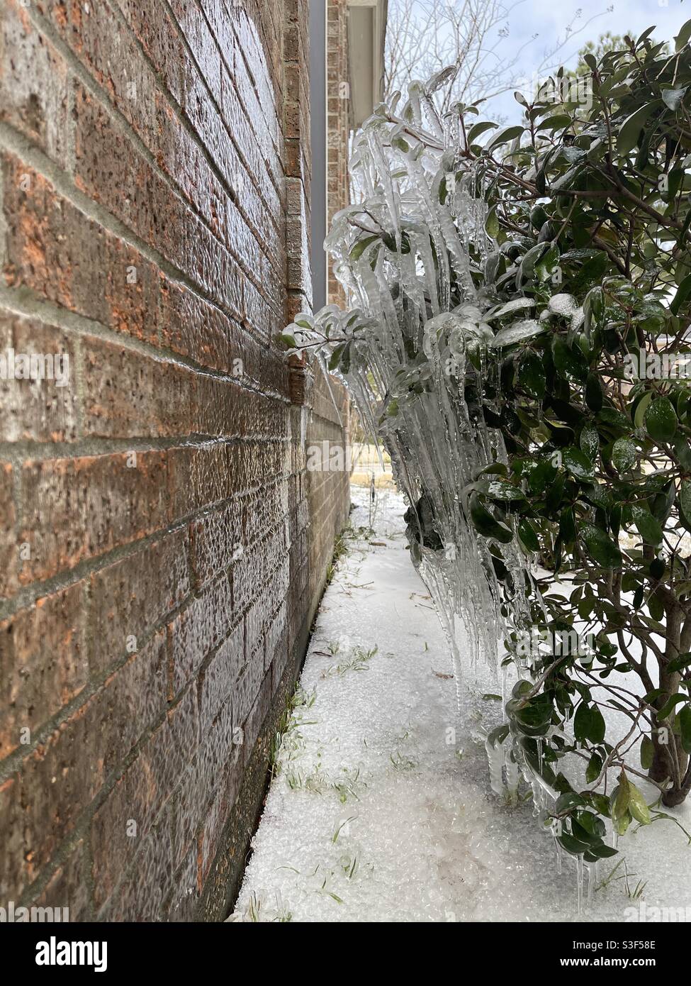 Texas Ice Storm 2021 High Resolution Stock Photography and Images - Alamy