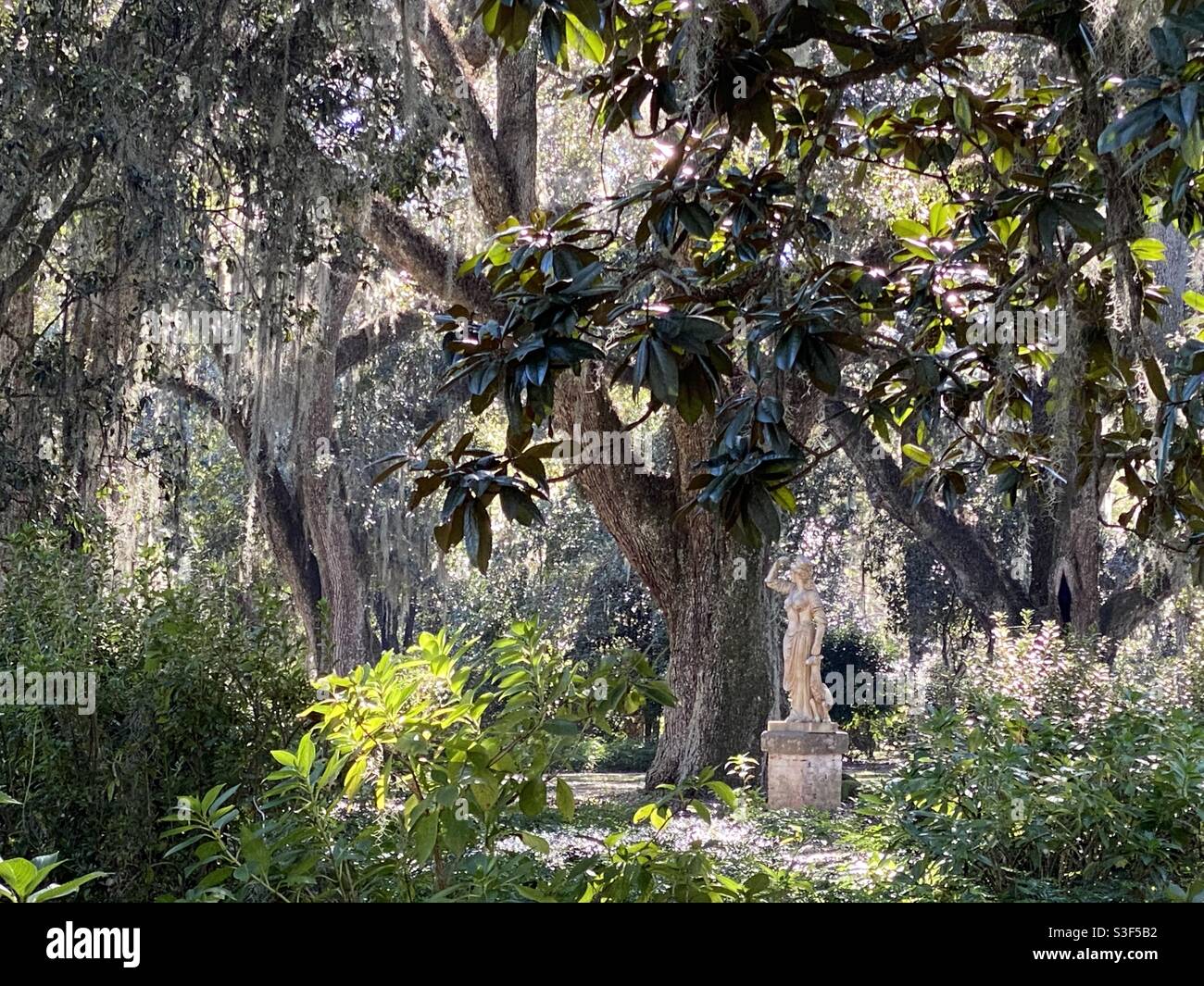 Southern garden hi-res stock photography and images - Alamy