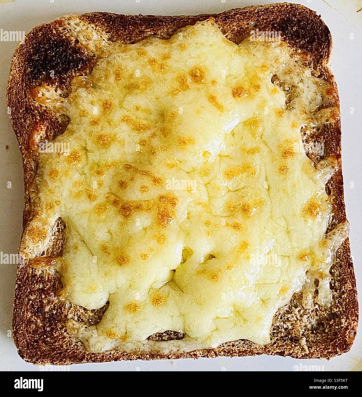 Toast cheese hi-res stock photography and images - Alamy