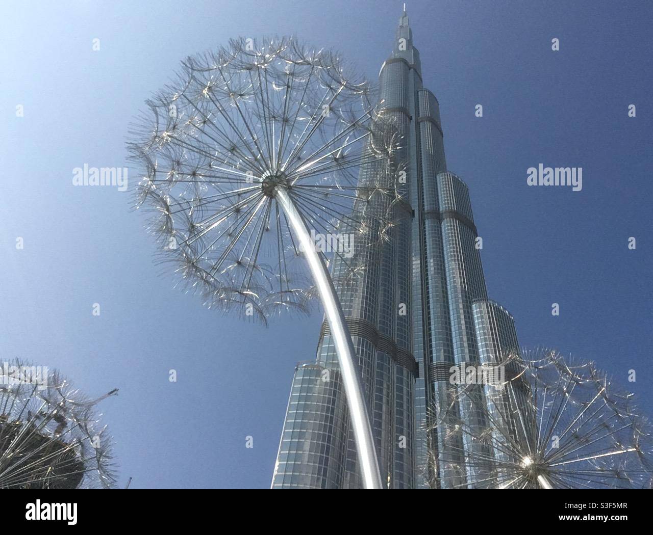 Snapping up hi-res stock photography and images - Alamy