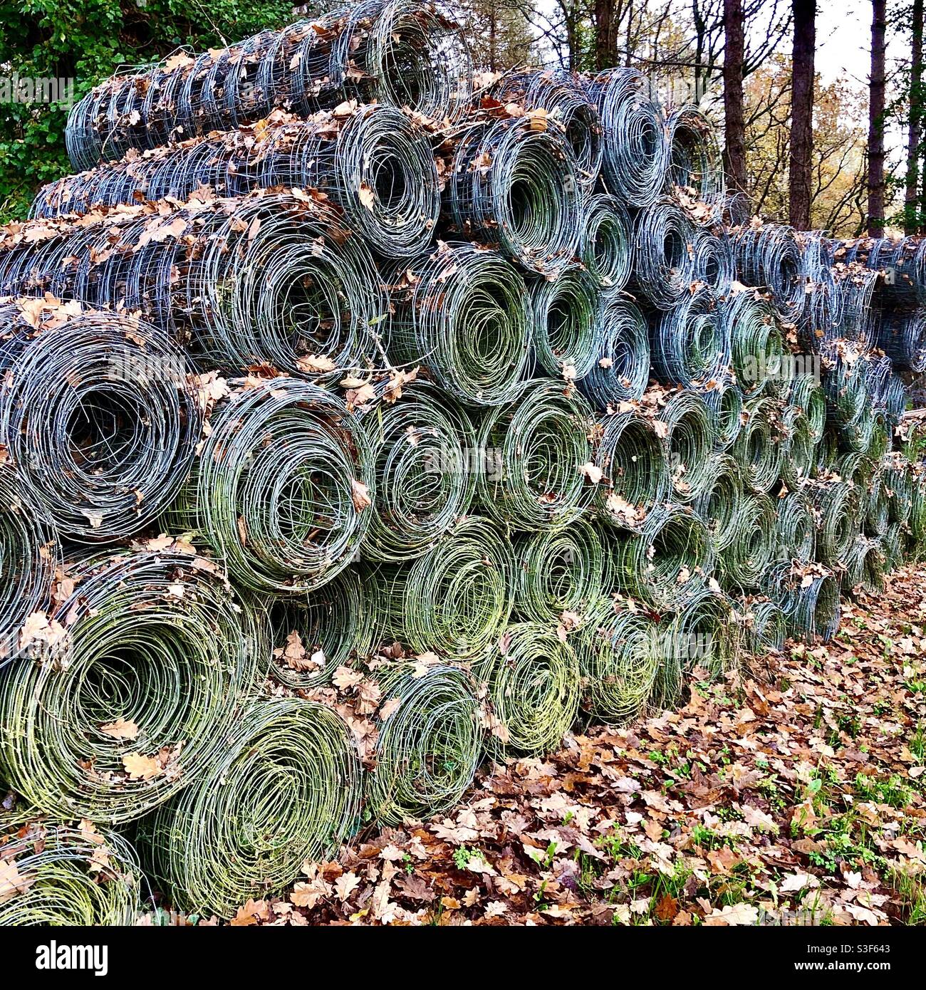 Wire netting hi-res stock photography and images - Alamy