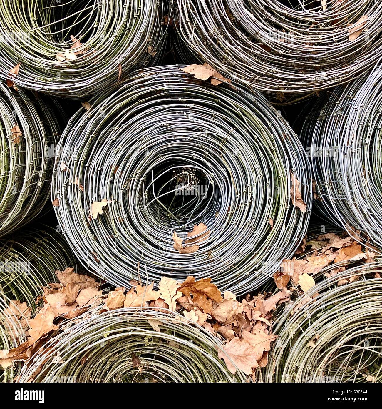 Netting texture hi-res stock photography and images - Alamy