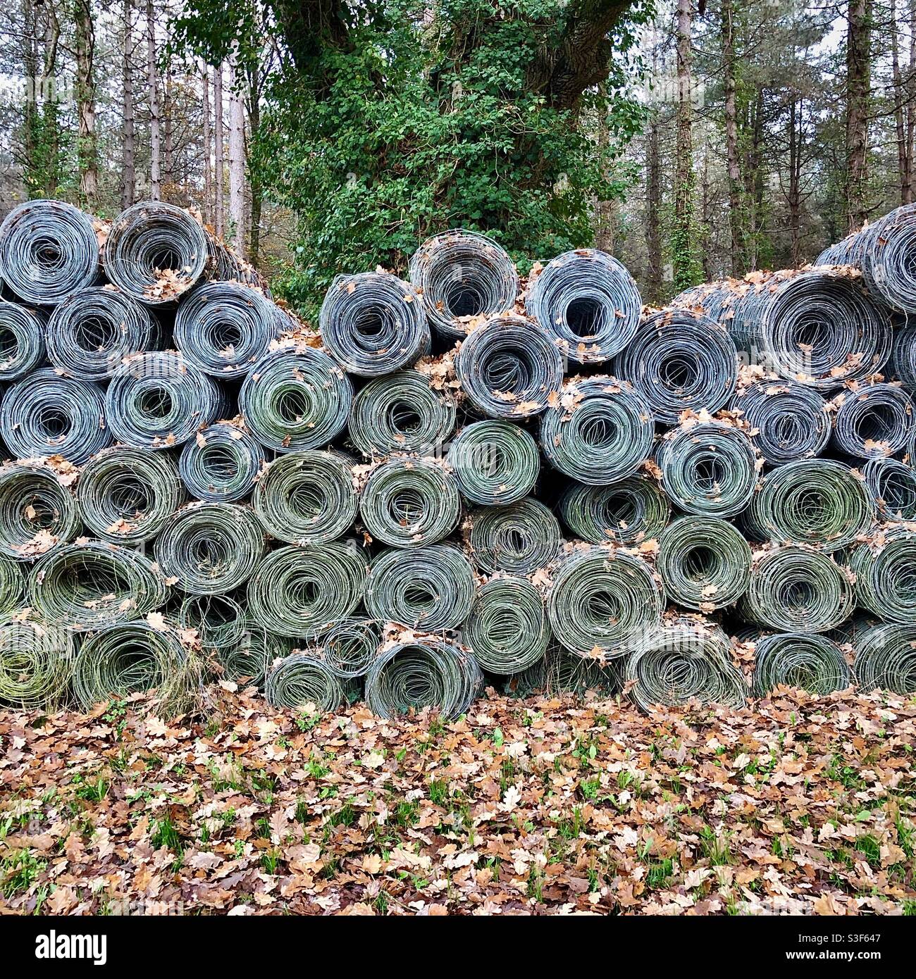 Large stack of rolls of wire netting in forest Stock Photo - Alamy