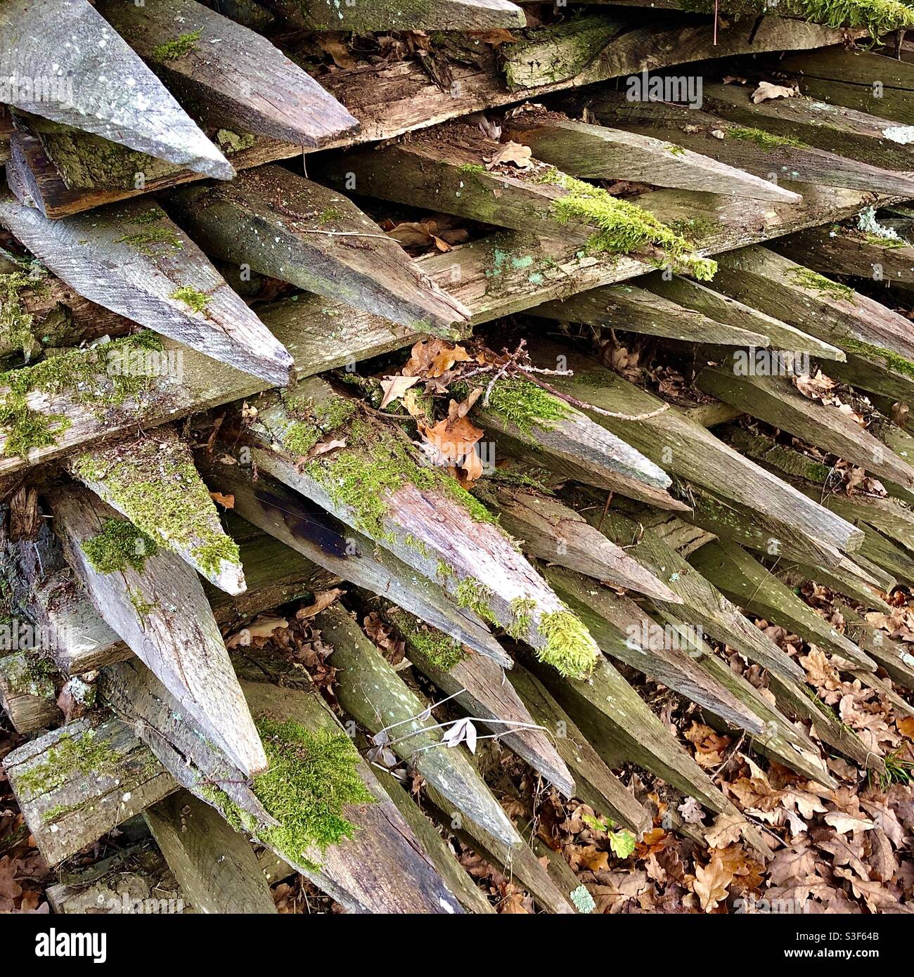 Pointed fence posts hi-res stock photography and images - Alamy