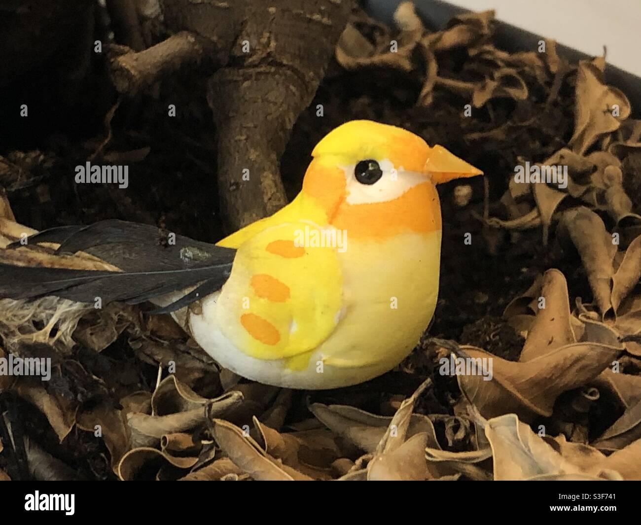 Fake bird hi-res stock photography and images - Alamy
