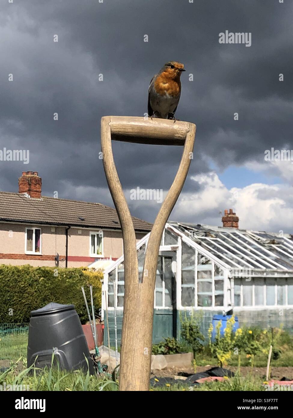 Gardening robin hi-res stock photography and images - Alamy