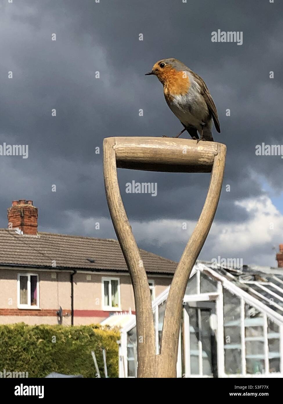 Gardening robin hi-res stock photography and images - Alamy